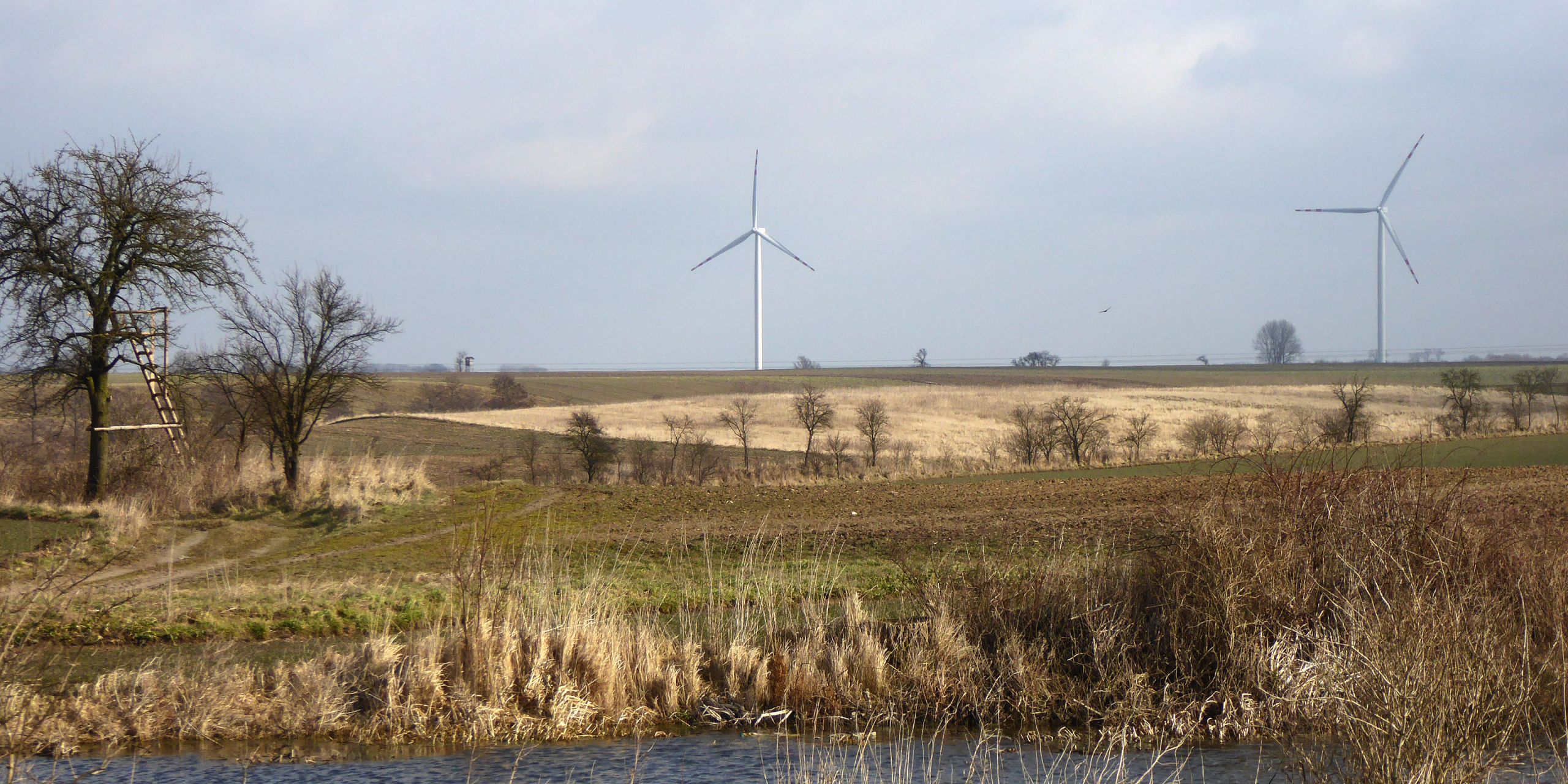 Farma wiatrowa Bielice - wpd Polska : wpd Polska