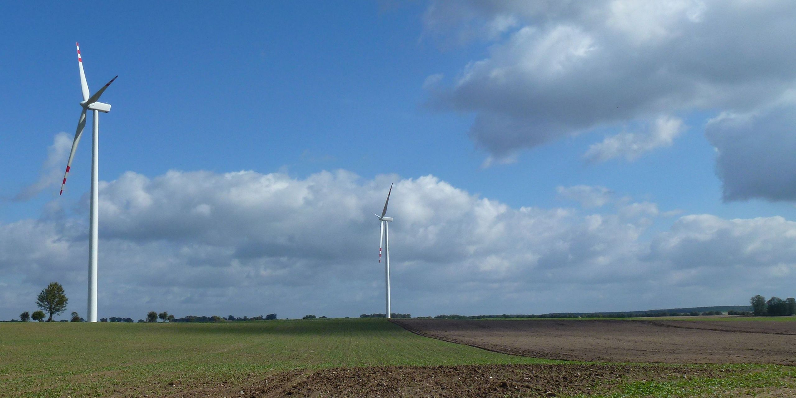 Farma wiatrowa Czyżewo - wpd Polska : wpd Polska